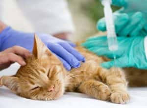 BVC Mumbai - Admission 2026, Fees, Courses, Placement, Ranking