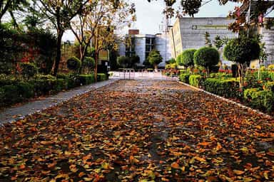 LPU - Admission 2026, Fees, Courses, Cutoff, Placement, Ranking