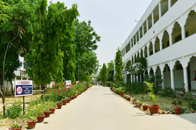 Maharishi University: Admission 2026, Courses, Fees, Cutoff, Placement ...