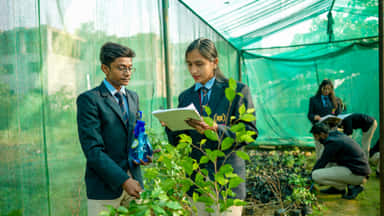 Quantum University, Roorkee: 2026 Fees, Placements, Courses, Admissions