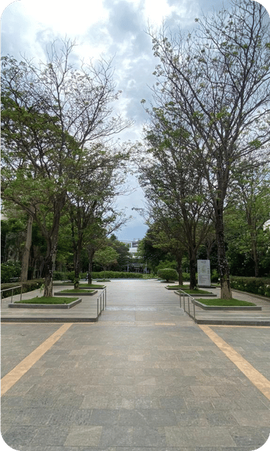 Polaris School of Technology - Admission 2025, Fees, Courses, Cutoff ...