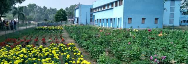 Diploma at Contai Polytechnic College : Courses & Fees 2024