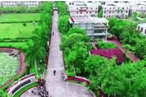 AP EAMCET Vishnu Institute of Technology Last Rank 2024: Check first ...