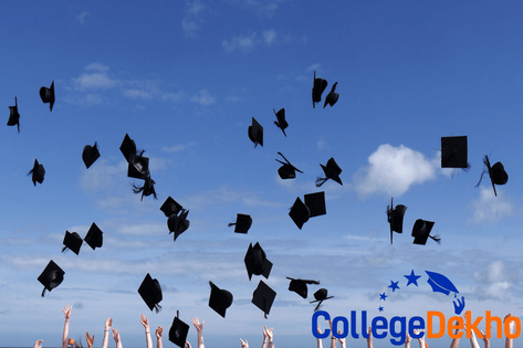 IIT Bombay Highest Package 2024-25: Highlights of Placements, Top ...