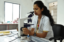 HP Full Form: Overview, History, Milestones