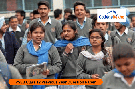 PSEB Previous Year Question Papers Class 12 with Solutions: Download ...