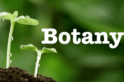 TS Inter First Year Botany Model Question Paper 2023 PDF Download ...