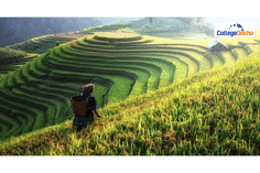 JoSAA Seat Matrix 2025: Check Category wise Seats available at IITs, NITs, IIITs and GFTIs ...