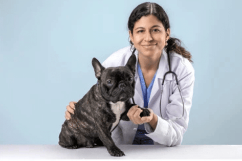 VCI NEET UG Veterinary Counselling 2025 Registration Begins Today at 11 ...