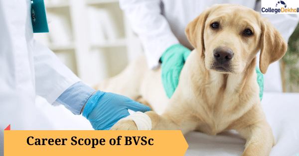 Career Scope of BVSc: Job Roles, Salary, Career Scope | CollegeDekho